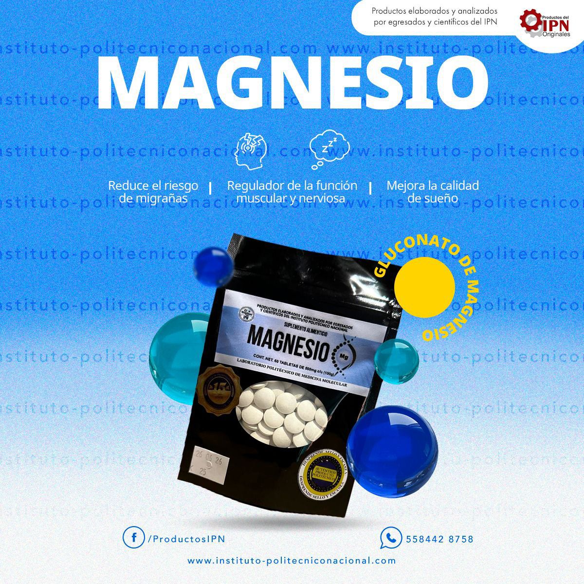 MAGNESIO – Productos Oficiales del IPN